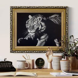 Bilderwelten Bild mit Barockrahmen Antik Tiere modern Barock schwarz weiss - Tiger im Sonnenlicht vor Schwarz - Tiger Wohnzimmer Schlafzimmer