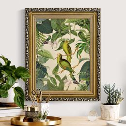 Bilderwelten Leinwandbild mit Barockrahmen Vintage Collage - Papageien im Dschungel