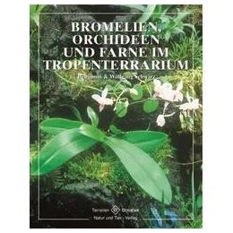 Bromelien, Orchideen und Farne im Tropenterrarium