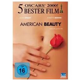 American Beauty