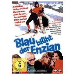 Blau bl&uuml;ht der Enzian