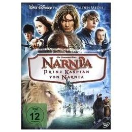 Die Chroniken von Narnia - Prinz Kaspian von Narnia