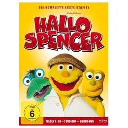 Universal Hallo Spencer - Staffel 1 [7 DVDs]