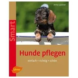 Hunde pflegen