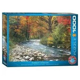 Eurographics Forest Stream (Puzzle)