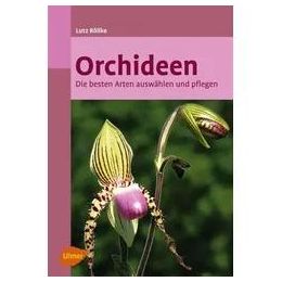Orchideen