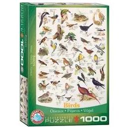 Eurographics Puzzle V&ouml;gel 1000 Teile