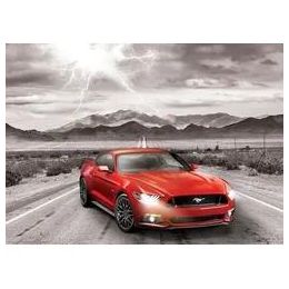 Eurographics Ford Mustang GT 1000T