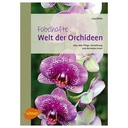 Fabelhafte Welt der Orchideen
