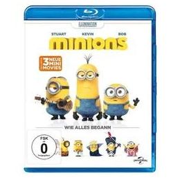 Universal Minions