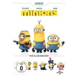 Universal Minions