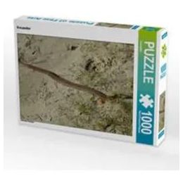 Calvendo Puzzle Kreuzotter 1000 Teile Lege-Gr&ouml;&szlig;e 64 x 48 cm Foto-Puzzle Bild von Kattobello