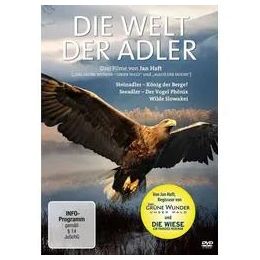 Polyband Die Welt der Adler