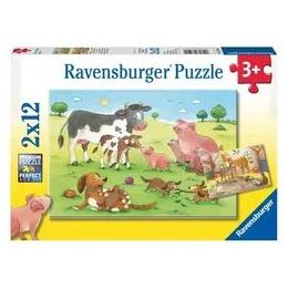 Puzzle Ravensburger Gl&uuml;ckliche Tierfamilien 2 X 12 Teile