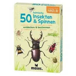 moses Expedition Natur - 50 heimische Insekten & Spinnen
