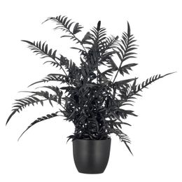 Kunstpflanze Pteris II Schwarz ca. 50cm