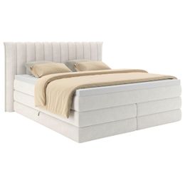 Boxspringbett Lina Creme ca. 200x200