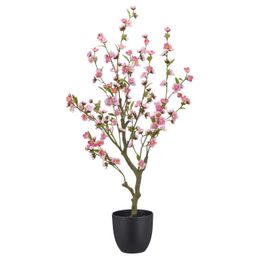 Kirschbl&uuml;tenzweig Kirschbl&uuml;te Rosa ca. 105cm