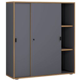 Aktenschrank Salia B100 Anthrazit/Honigeiche