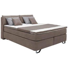 Boxspringbett Tabea Taupe ca. 160x200cm