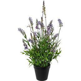 Kunstpflanze Lavendel II Gr&uuml;n/Schwarz