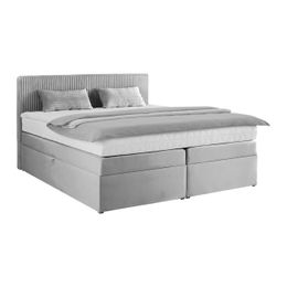 Boxspringbett Rossa in Grau ca. 160x200cm