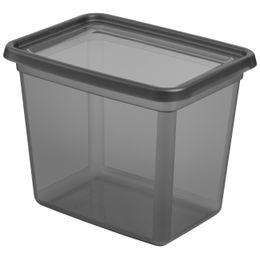 Aufbewahrungsbox Blacky in Schwarz ca. 20l