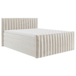 Boxspringbett Simon in Beige ca. 160x200cm