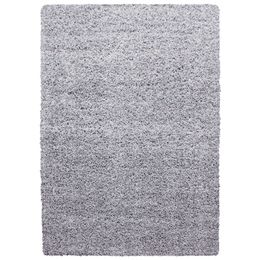 Novel Hochflorteppich Life Hellgrau ca. 240x340cm