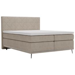 Boxspringbett Cromo Beige ca. 160x200