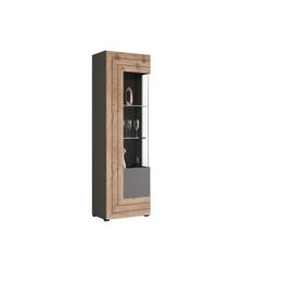 Vitrine Freno ca. 60x194 cm Nox Eiche/Grau