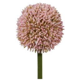 Allium II Rosa/Gr&uuml;n ca. 64cm