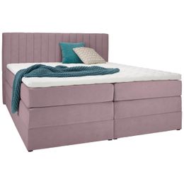 Boxspringbett Simon in Flieder ca. 180x200cm