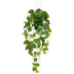Kunstpflanze Philodendron Hederaceum Gr&uuml;n ca. 75cm