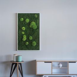 Moosbild Gr&uuml;n
