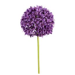 Allium II Gr&uuml;n/Lila ca. 89cm