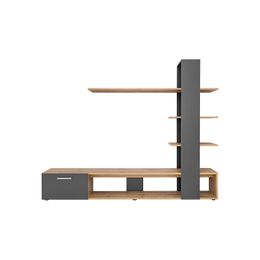 Wohnwand Eco Schwarz/Eiche Wotan