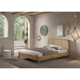 Vipack Bett Olive ca. 160x200 Eichefarben