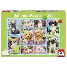 Schmidt Spiele Welpen. Puzzle 200 Teile