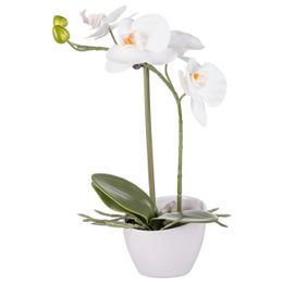Kunstpflanze Orchidee II Gr&uuml;n