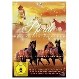 Spirit Media Pferde - Mein gr&ouml;&szlig;tes Gl&uuml;ck [3 DVDs]