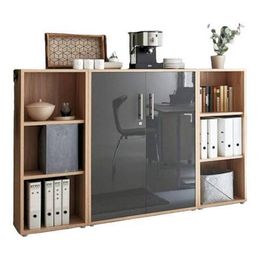 Aktenschrank Office Edition Sw Set 2 niedrig Eiche/Anthrazit