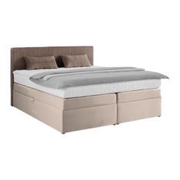 Boxspringbett Rossa in Braun ca. 180x200cm