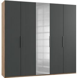 Dreht&uuml;renschrank Level 36A mit Spiegel ca.250cm Graphitfarben