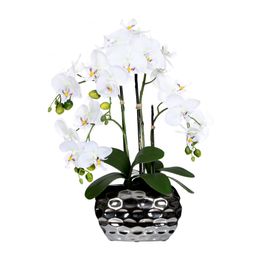 Kunstpflanze Orchideen Gr&uuml;n ca. 55cm