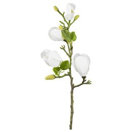 Dekozweig Magnolie I Wei&szlig;/Gr&uuml;n