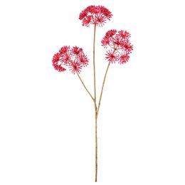 Kunstblume Heracleum I Pink ca. 75cm