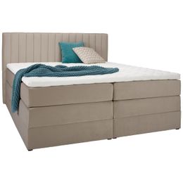 Boxspringbett Simon Beige ca. 180x200cm