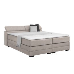 Boxspringbett Sevilla Graubraun ca. 180x200cm