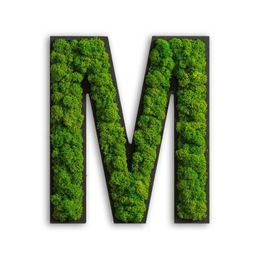 Moosbild Gr&uuml;n
